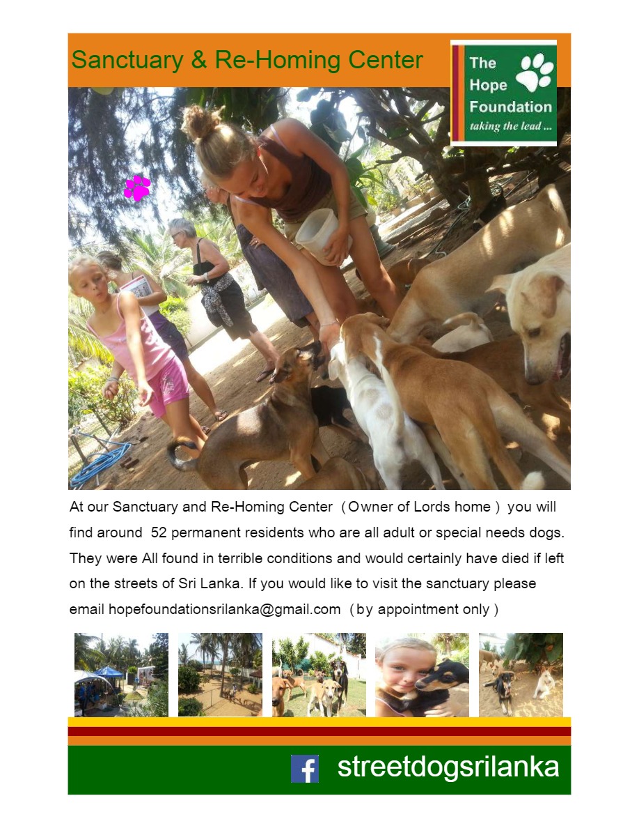 Taking the Lead – Lords Restaurant