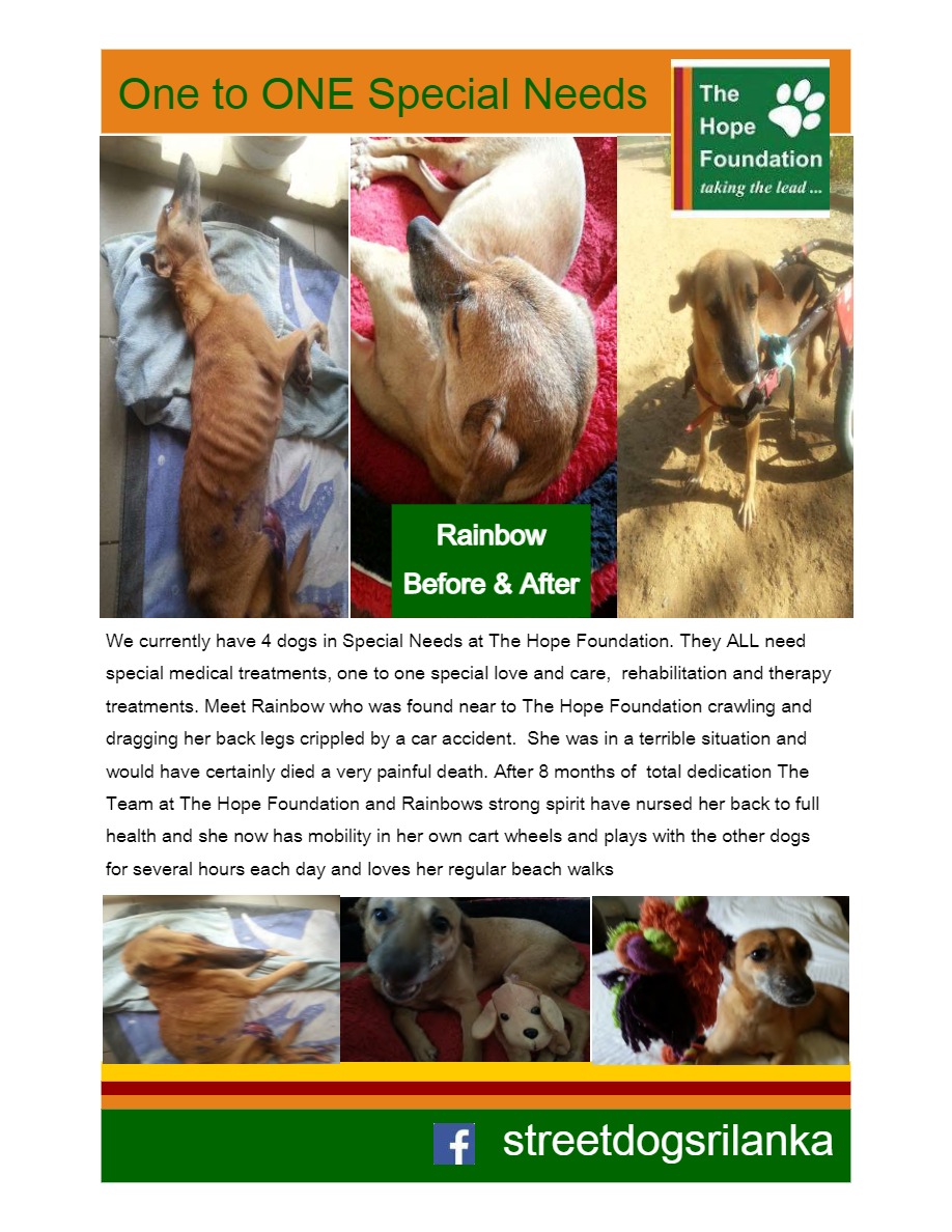 Taking the Lead – Lords Restaurant