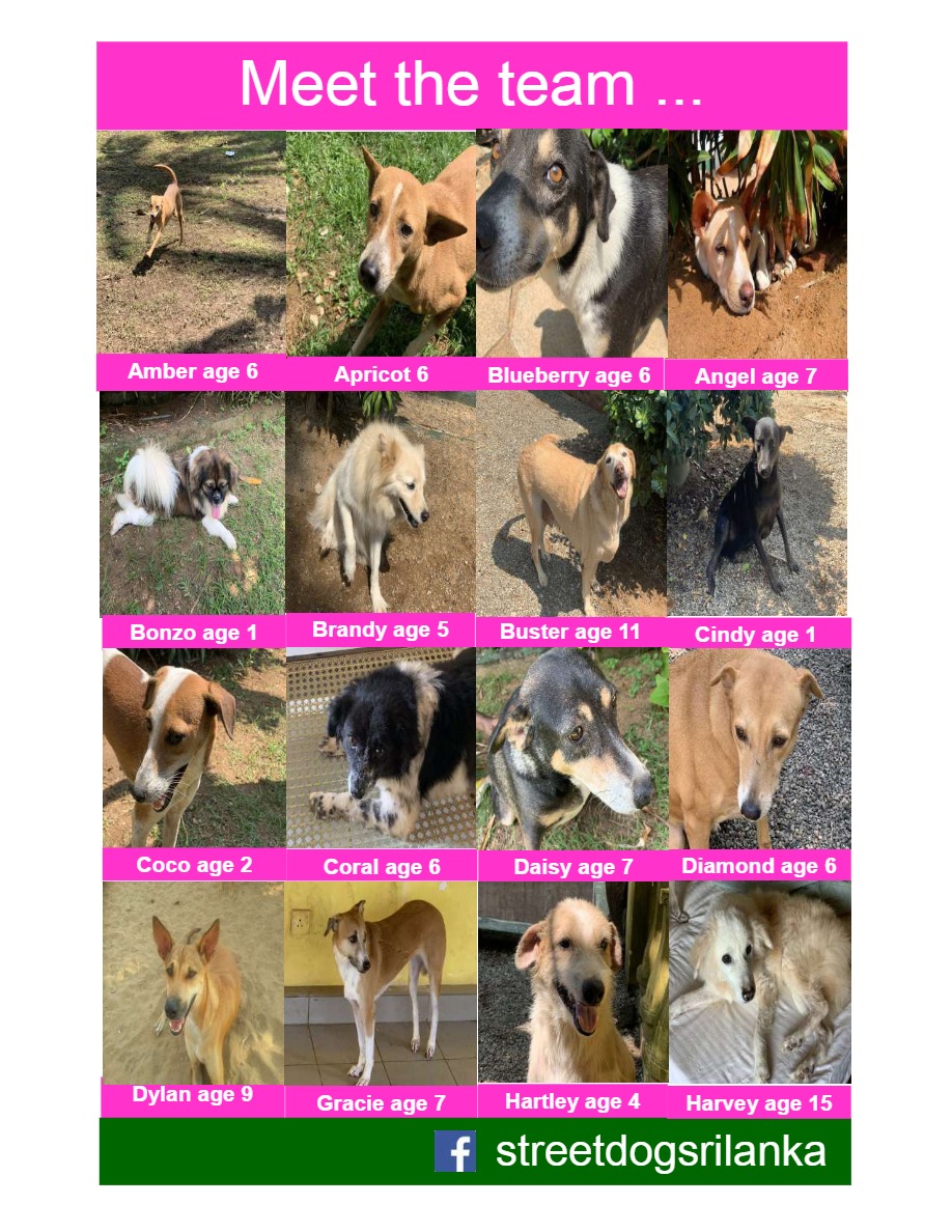 Taking the Lead – Lords Restaurant