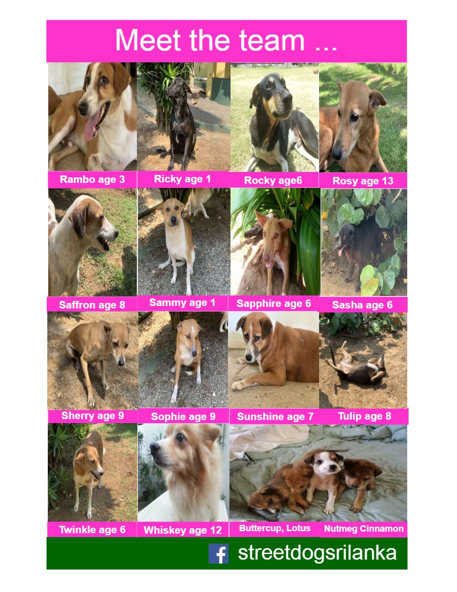 Taking the Lead – Lords Restaurant